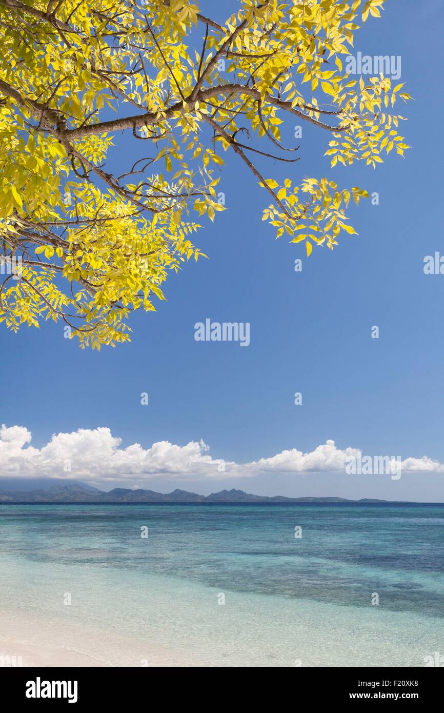 Lesser sunda archipelago hi-res stock photography and images - Alamy