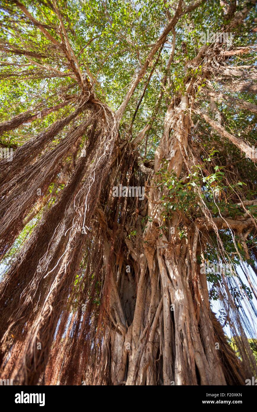 Indonesia, Lesser Sunda Islands, Alor archipelago, Kangge Island ...