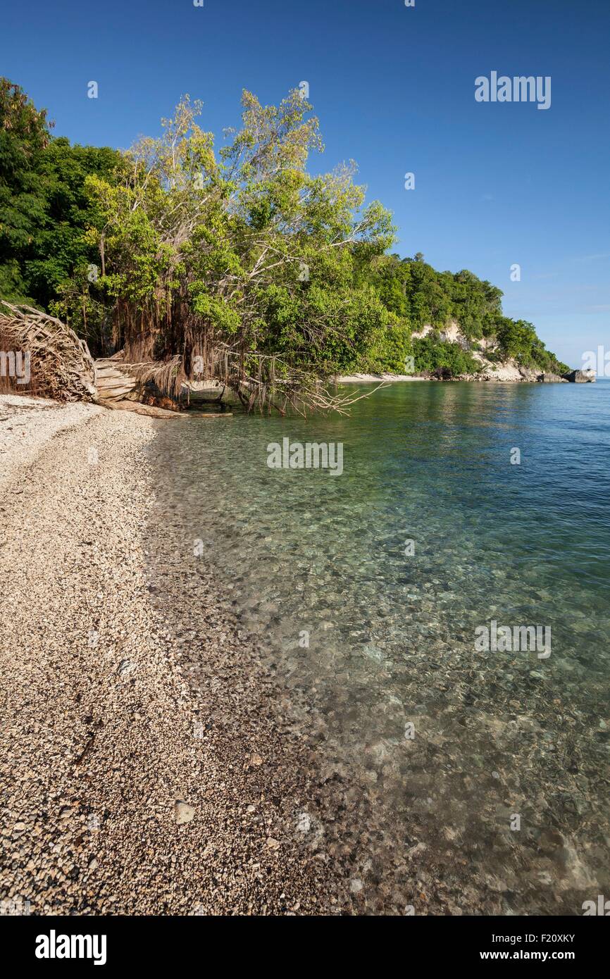 Indonesia, Lesser Sunda Islands, Alor Island, Deere Beach, fallen ...