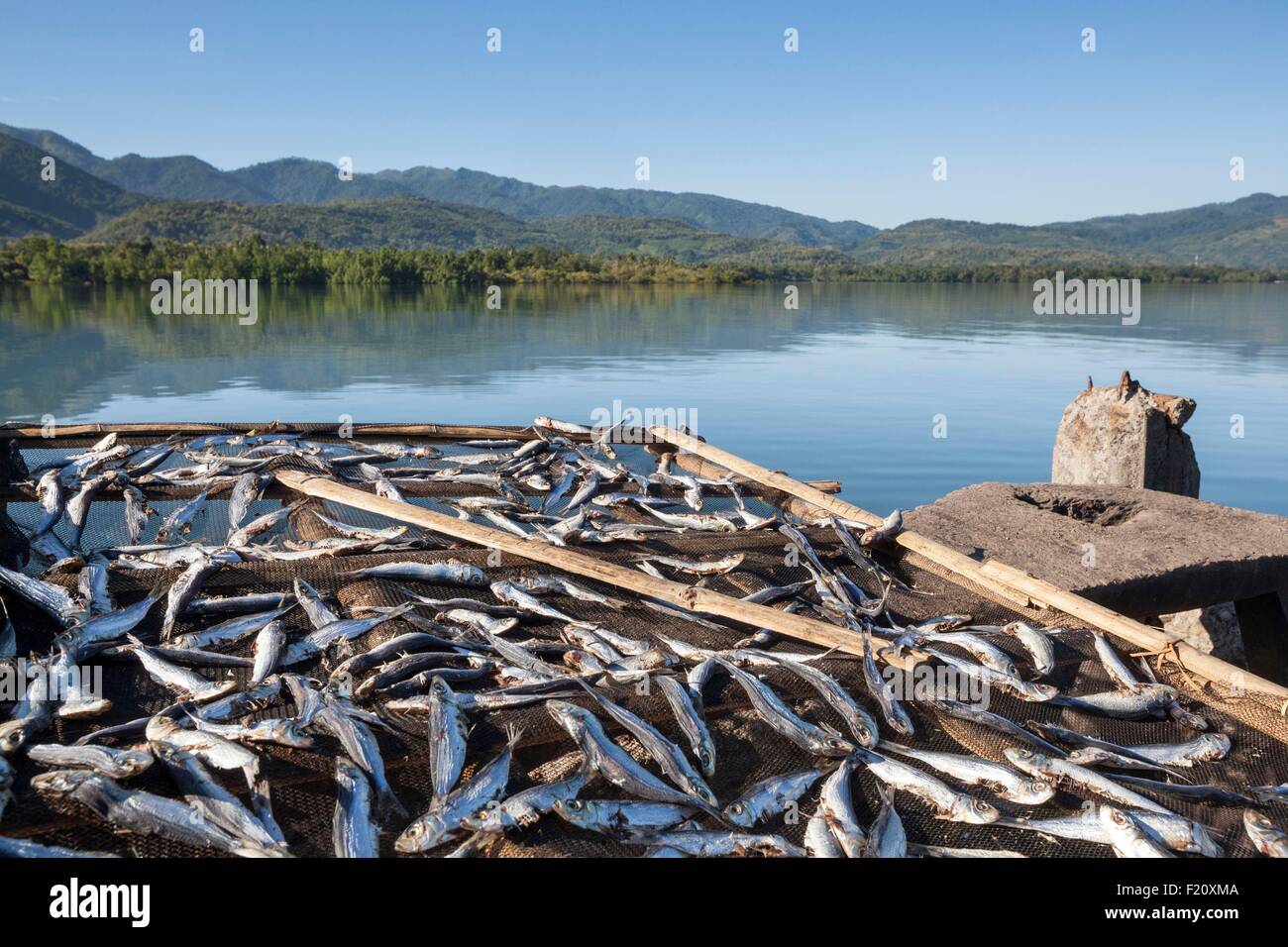 Indonesia, Lesser Sunda Islands, Alor Island, Kalabahi, fish drying in ...