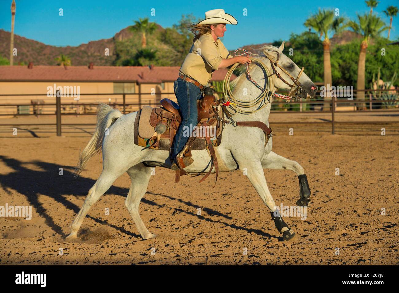 United States, Arizona, Tucson, White Stallion Ranch Stock Photo - Alamy