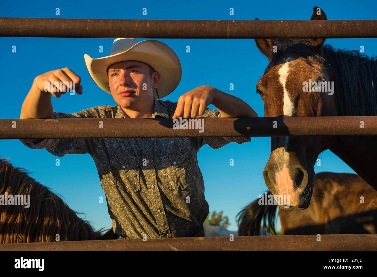 White Stallion Ranch Tucson High Resolution Stock Photography and ...
