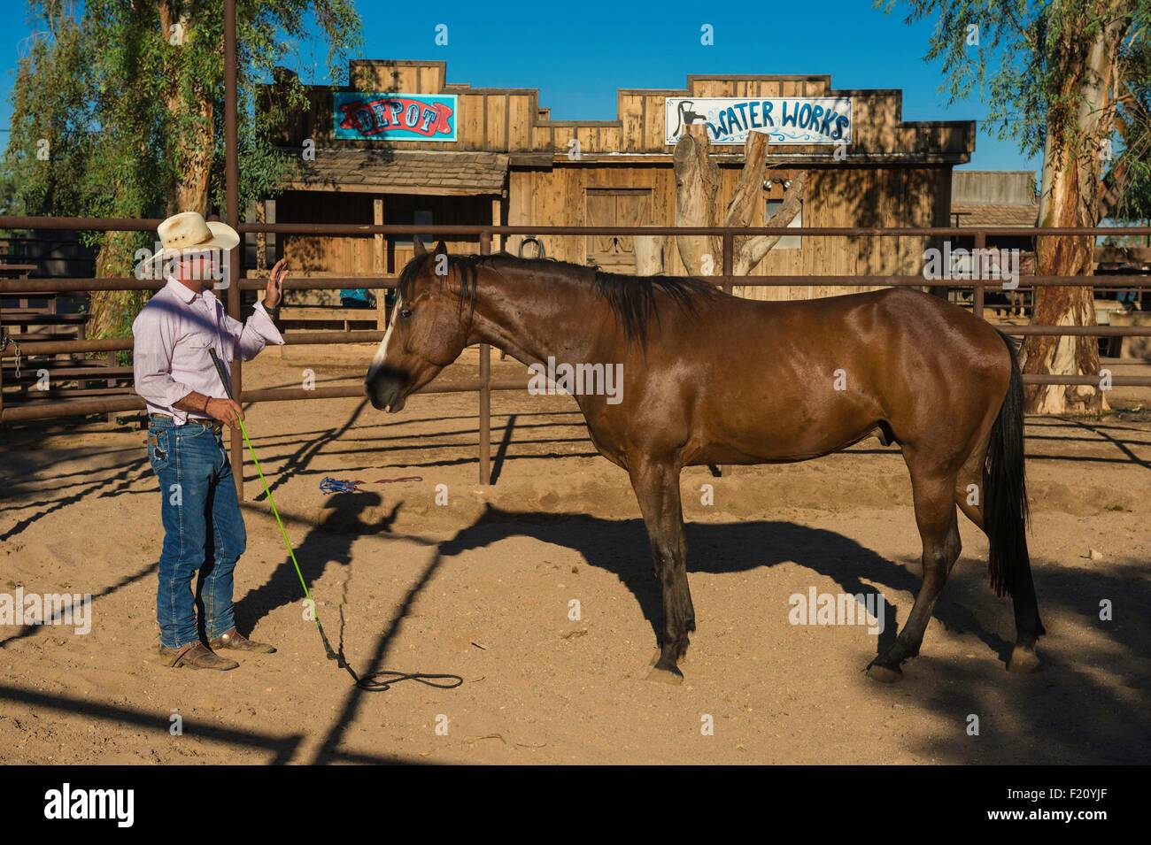 United States, Arizona, Tucson, White Stallion Ranch, horse training ...