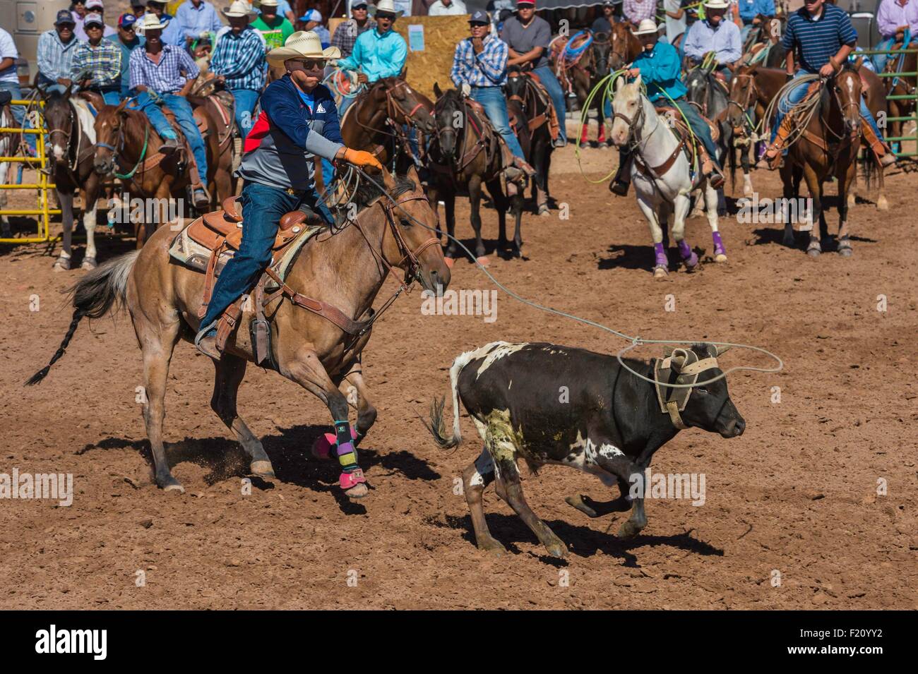 United States, Arizona, Window Rock, Festival Navajo Nation Fair, rodeo ...