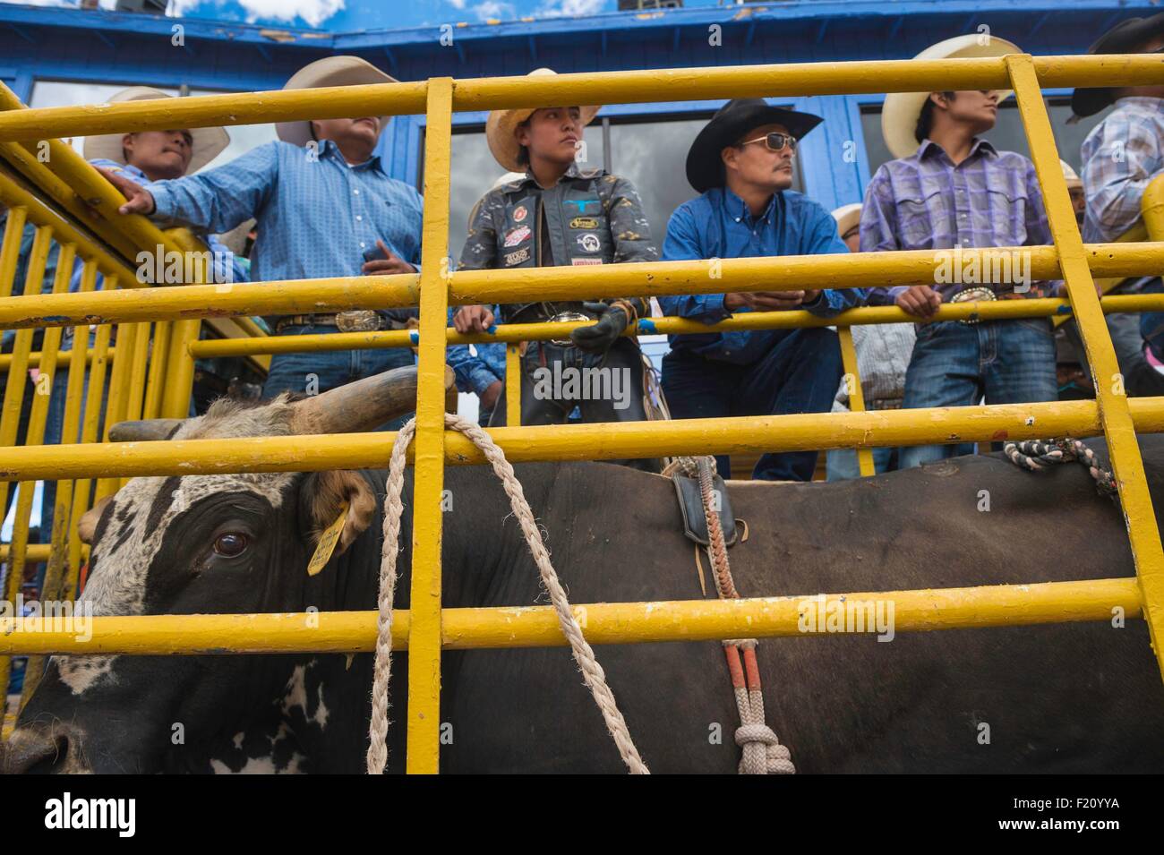 Window rock navajo nation festival hi-res stock photography and images ...