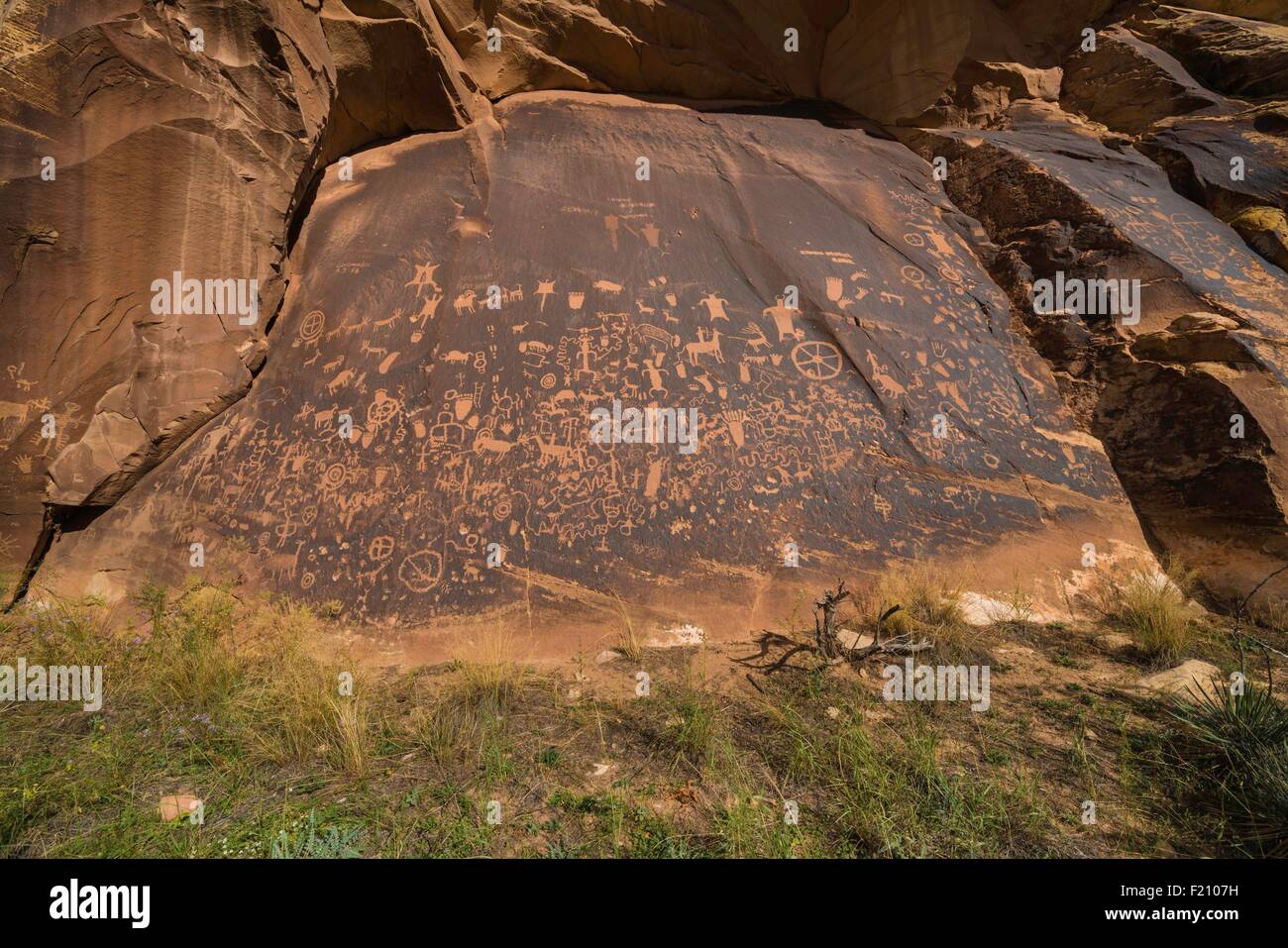 Utah canyonlands national park newspaper rock hi-res stock photography ...