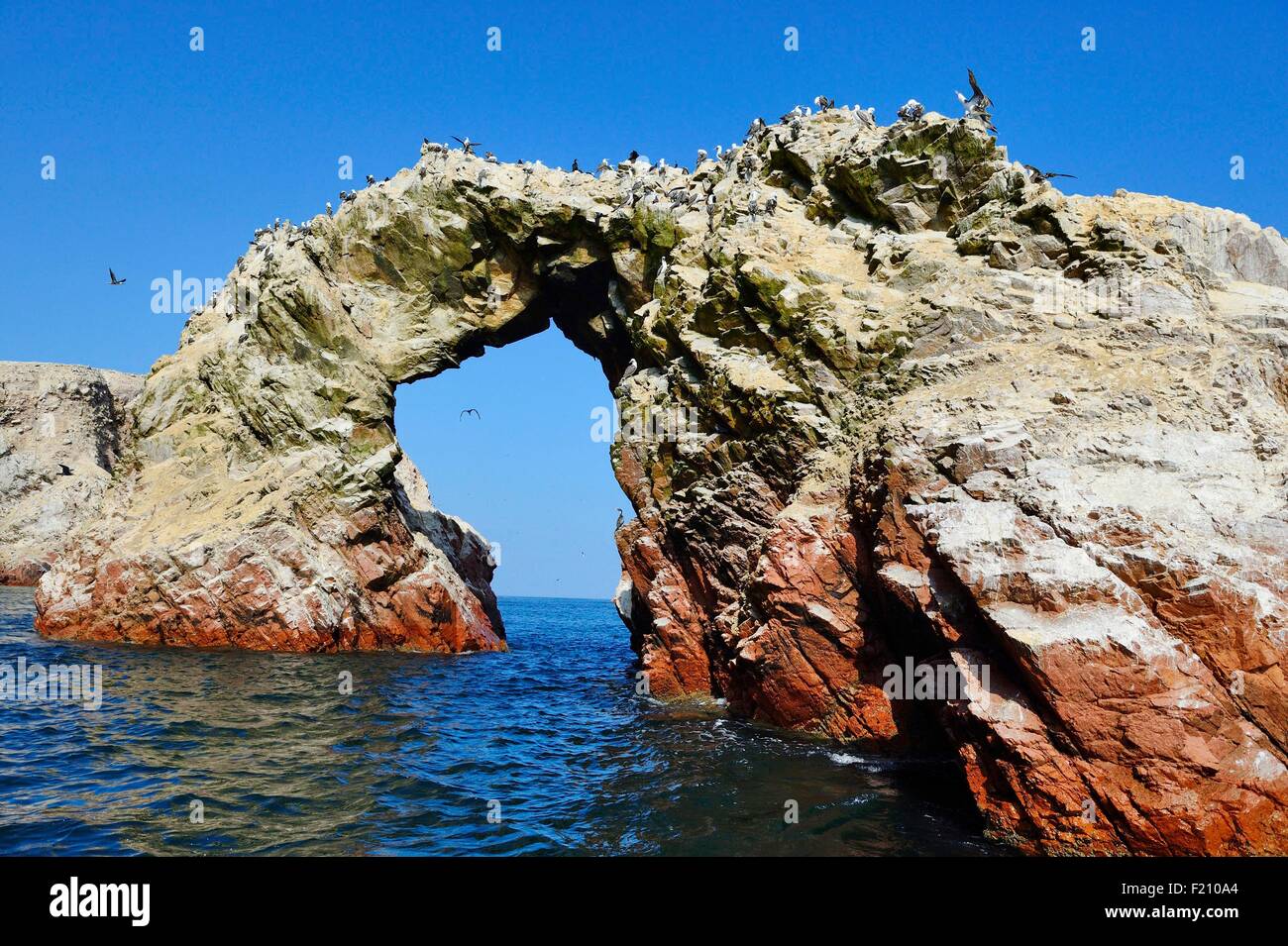 Peru, Pisco Province, Ballestas islands, boat trip across the Paracas ...