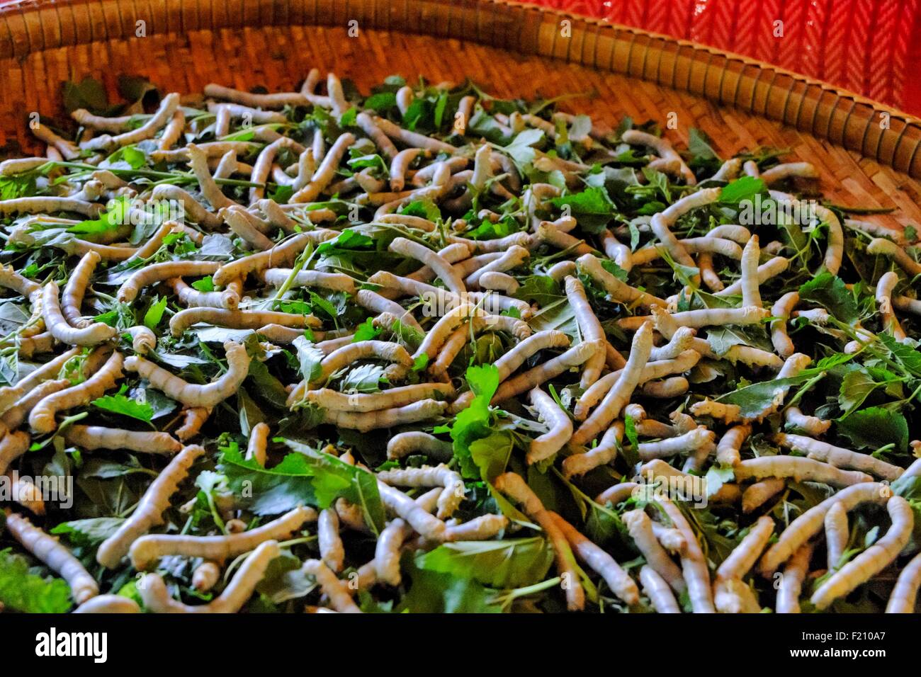 Kompong Thom High Resolution Stock Photography and Images - Alamy