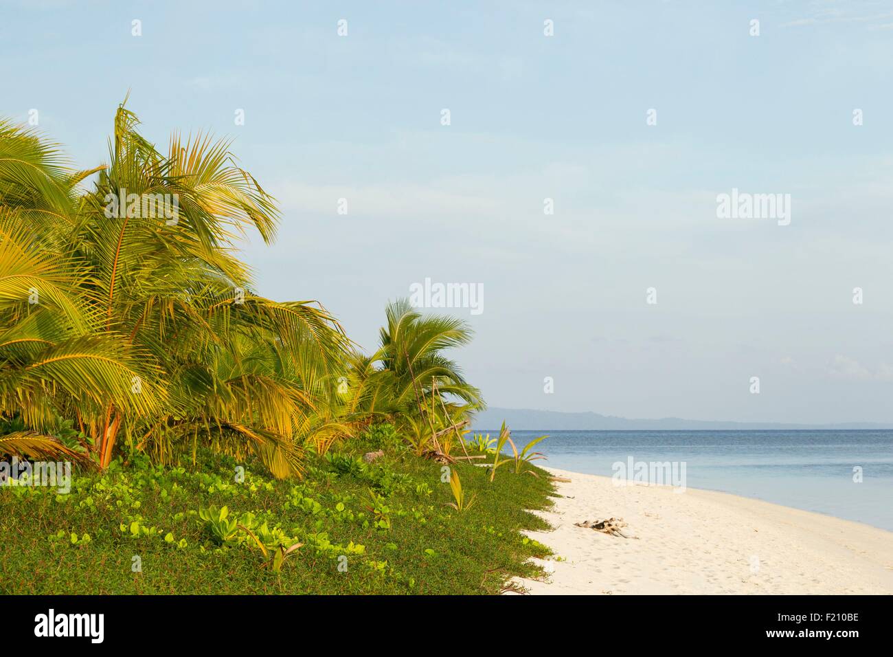 Indonesia, Maluku province, East Seram, Koon island, seaside Stock ...