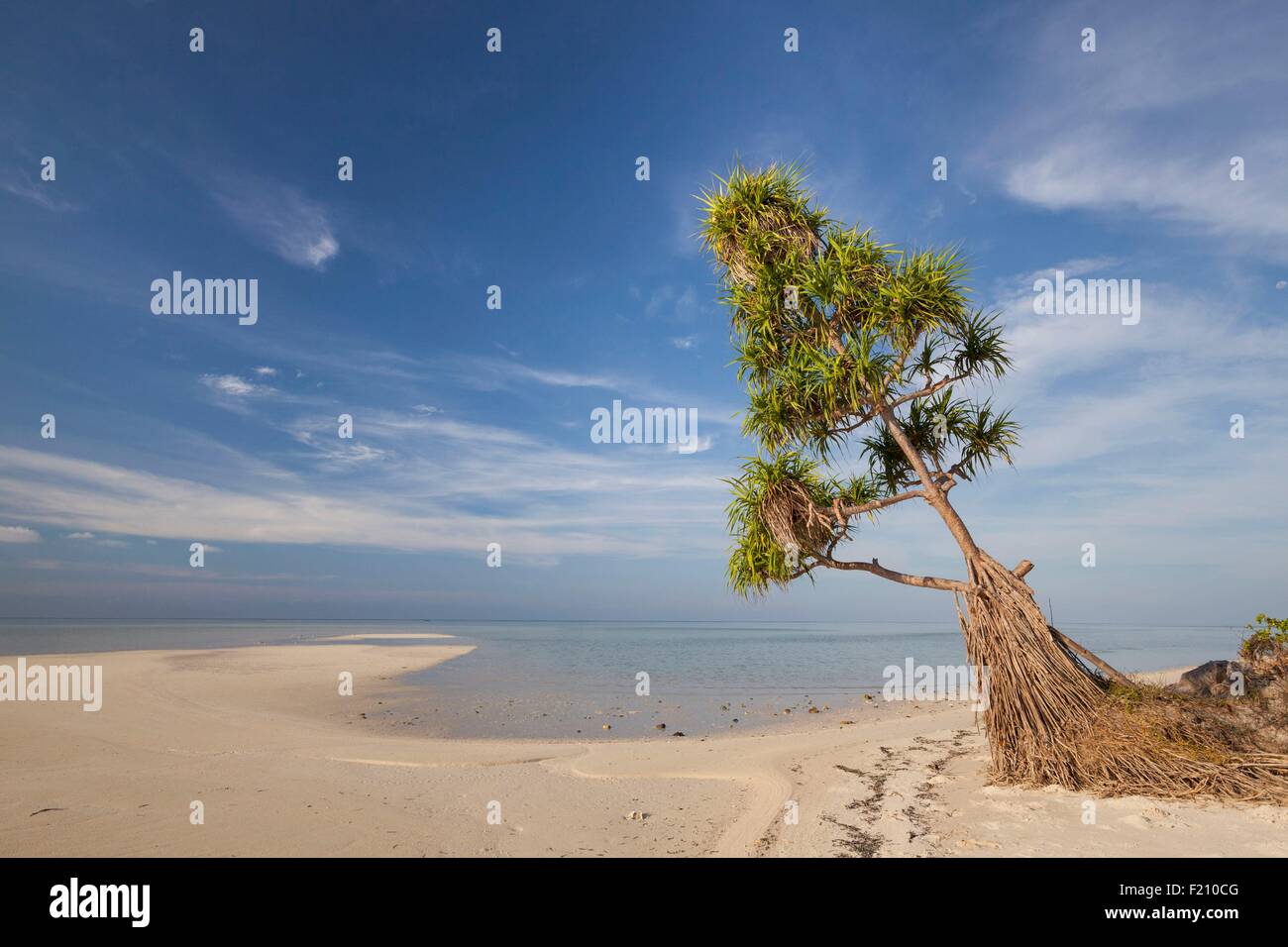 Indonesia, Maluku province, East Seram, Grogos island, Sandbank and ...