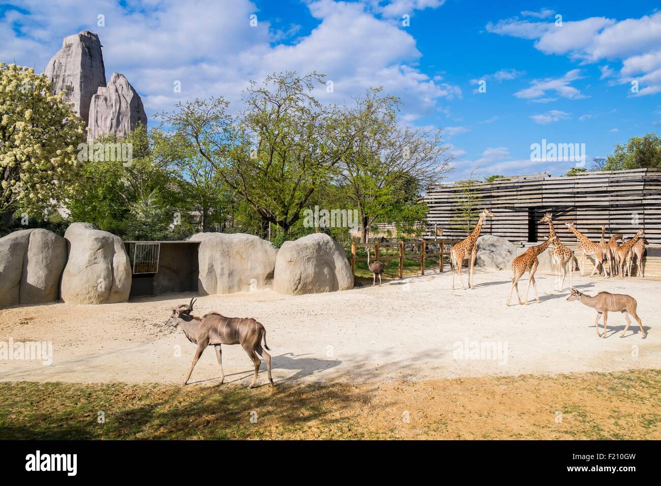 Zoological park of paris hi-res stock photography and images - Alamy