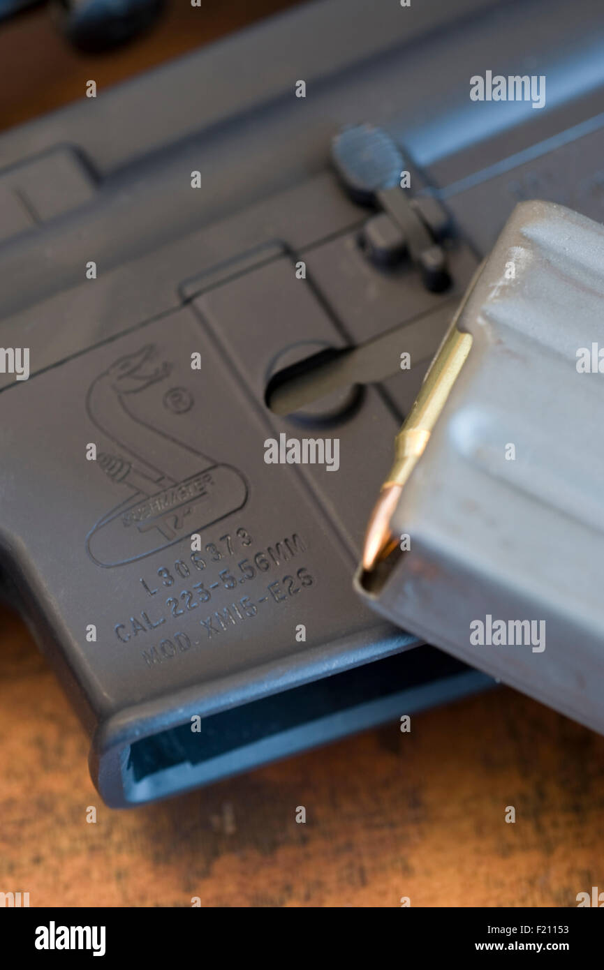 Bushmaster AR-15 assault rifle with 30 round 5.56mm magazine, closeup ...