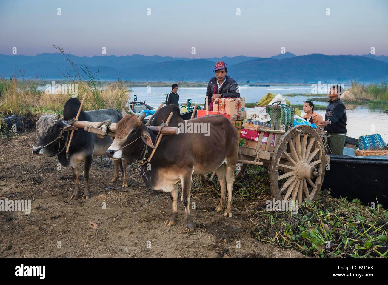 Myanmar (Burma), Shan state, Pao's tribe, Sagar lake, Sagar (Samkar ...