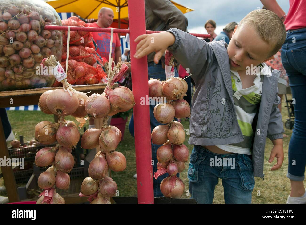 Oignon hi-res stock photography and images - Alamy