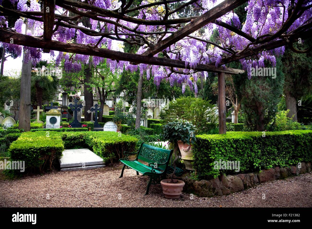 Wisteria italy hi-res stock photography and images - Alamy