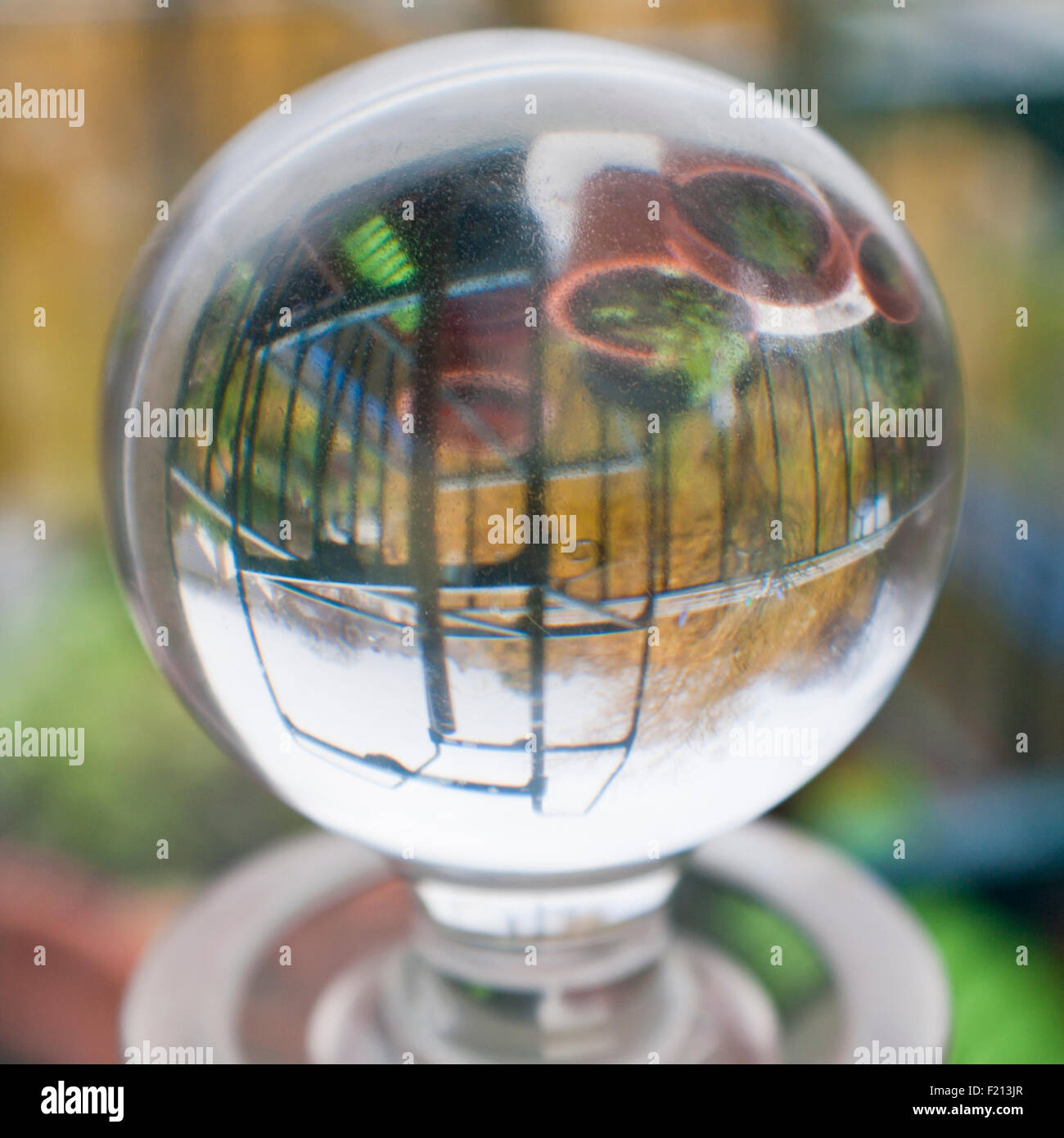 See through flower transparent hi-res stock photography and images - Alamy