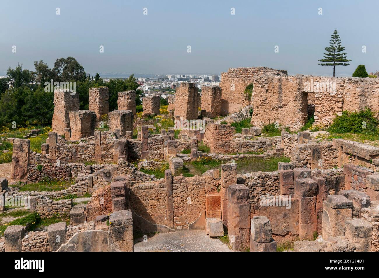 Carthage tunisia landscape hi-res stock photography and images - Alamy
