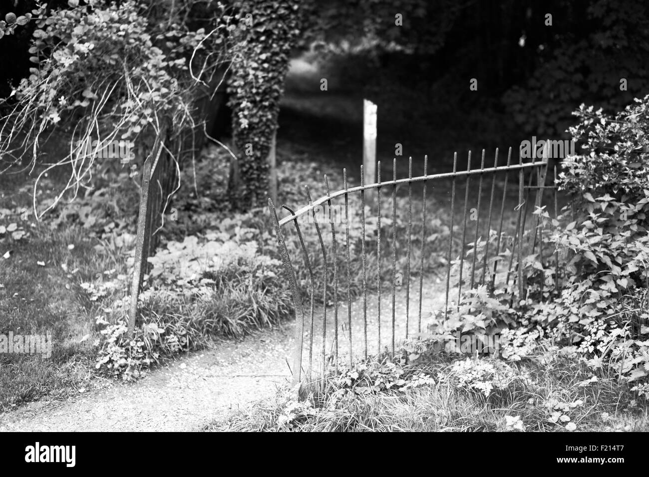 Railings Black and White Stock Photos & Images - Alamy