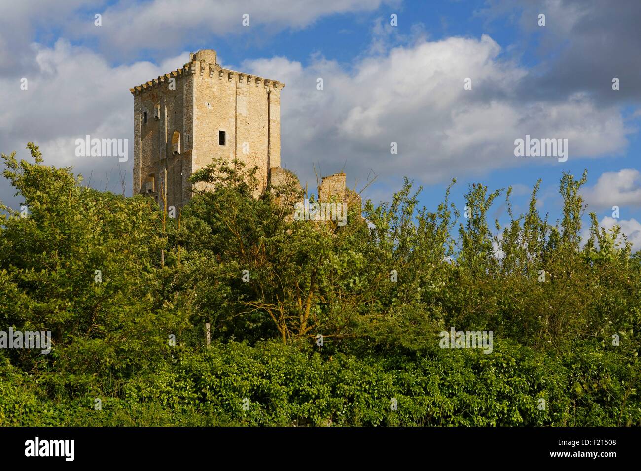 France, Vienne, Moncontour, ancient fortress built in 1040 by Fulk ...