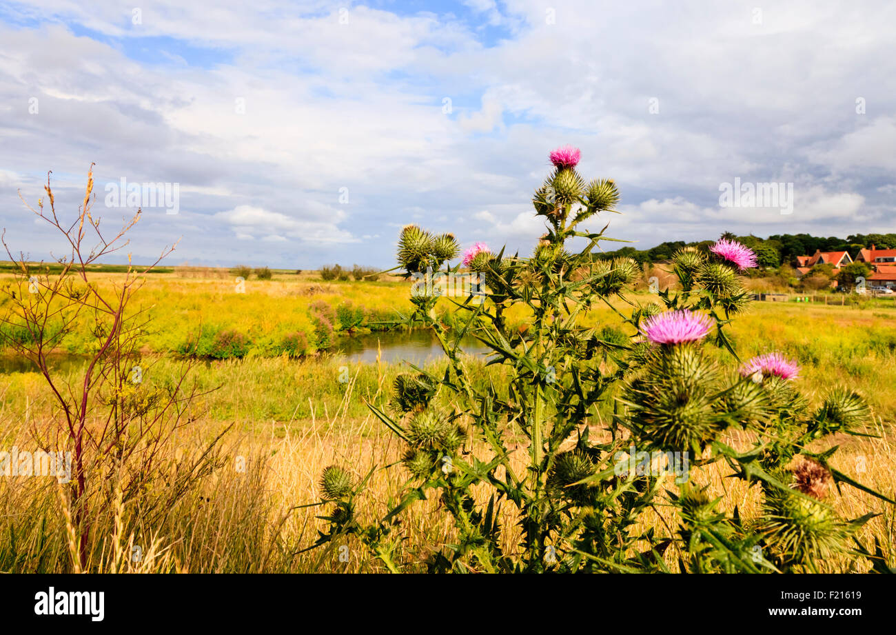 Norfolk landscape, England Stock Photo - Alamy