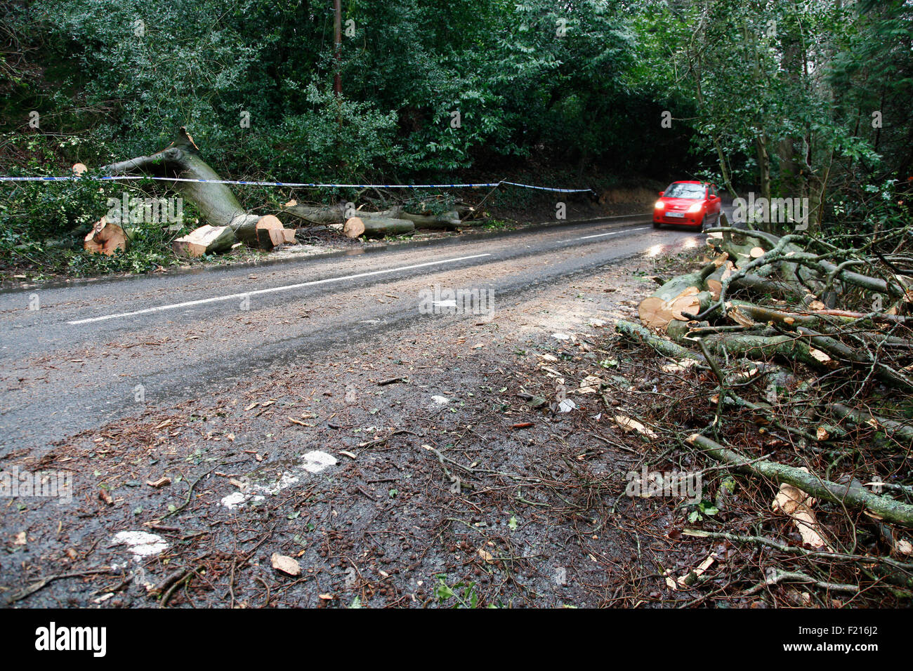 Fallen tree from storm blocking road hi-res stock photography and ...