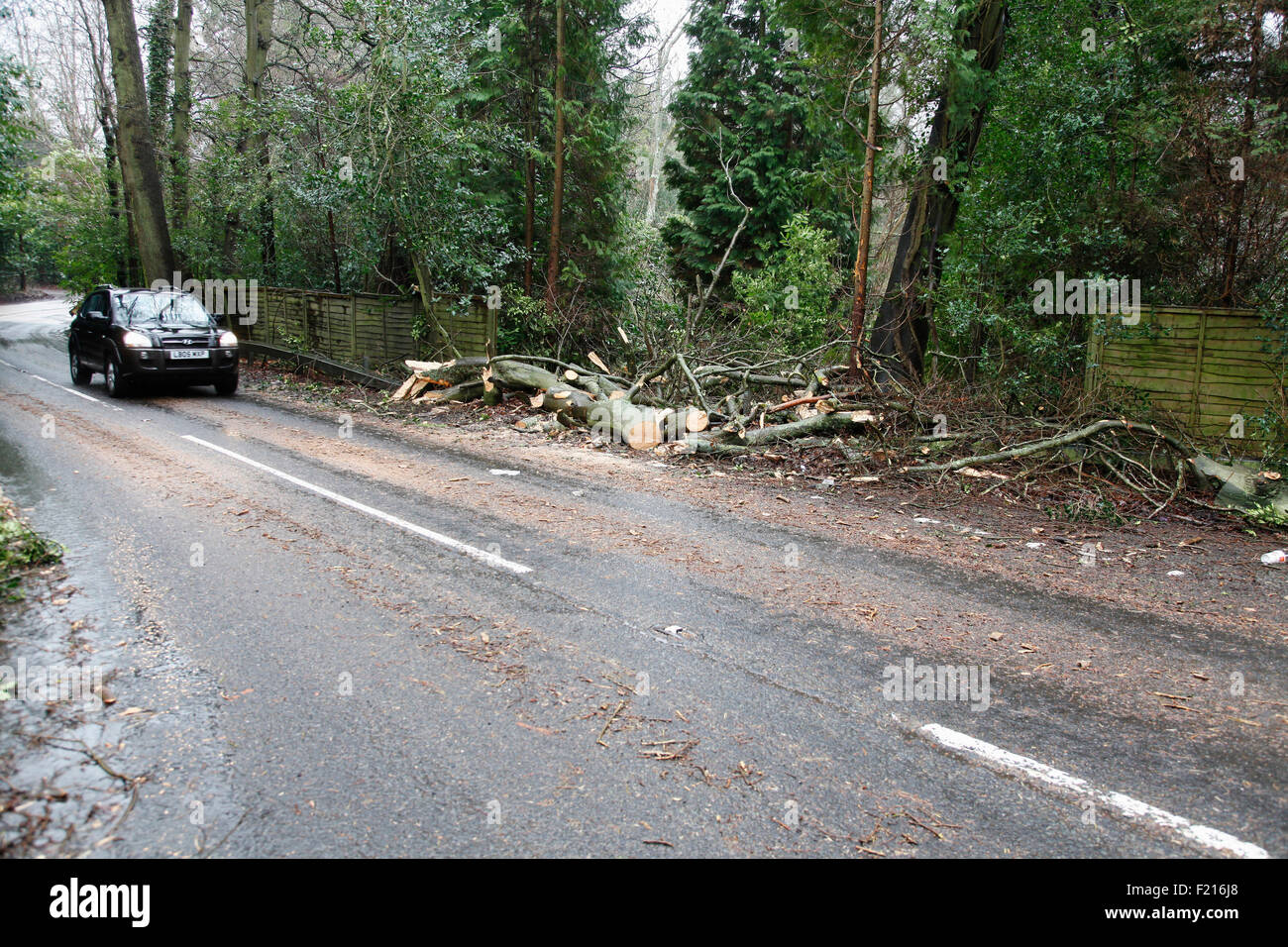 Transport, Road, Cars, Cleared tree removed from blocking carriageway ...