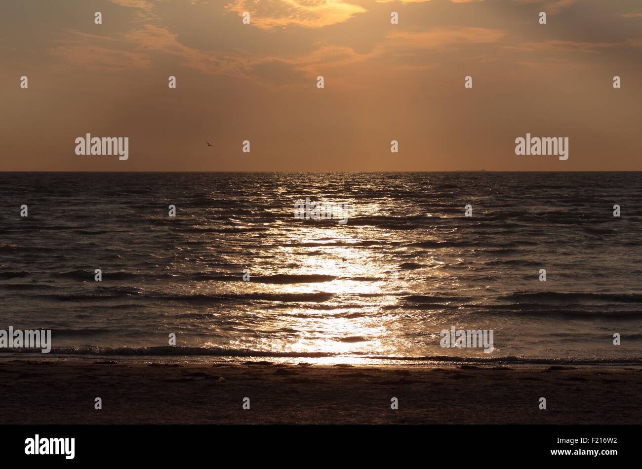 early morning sun illuminates the sea Stock Photo - Alamy