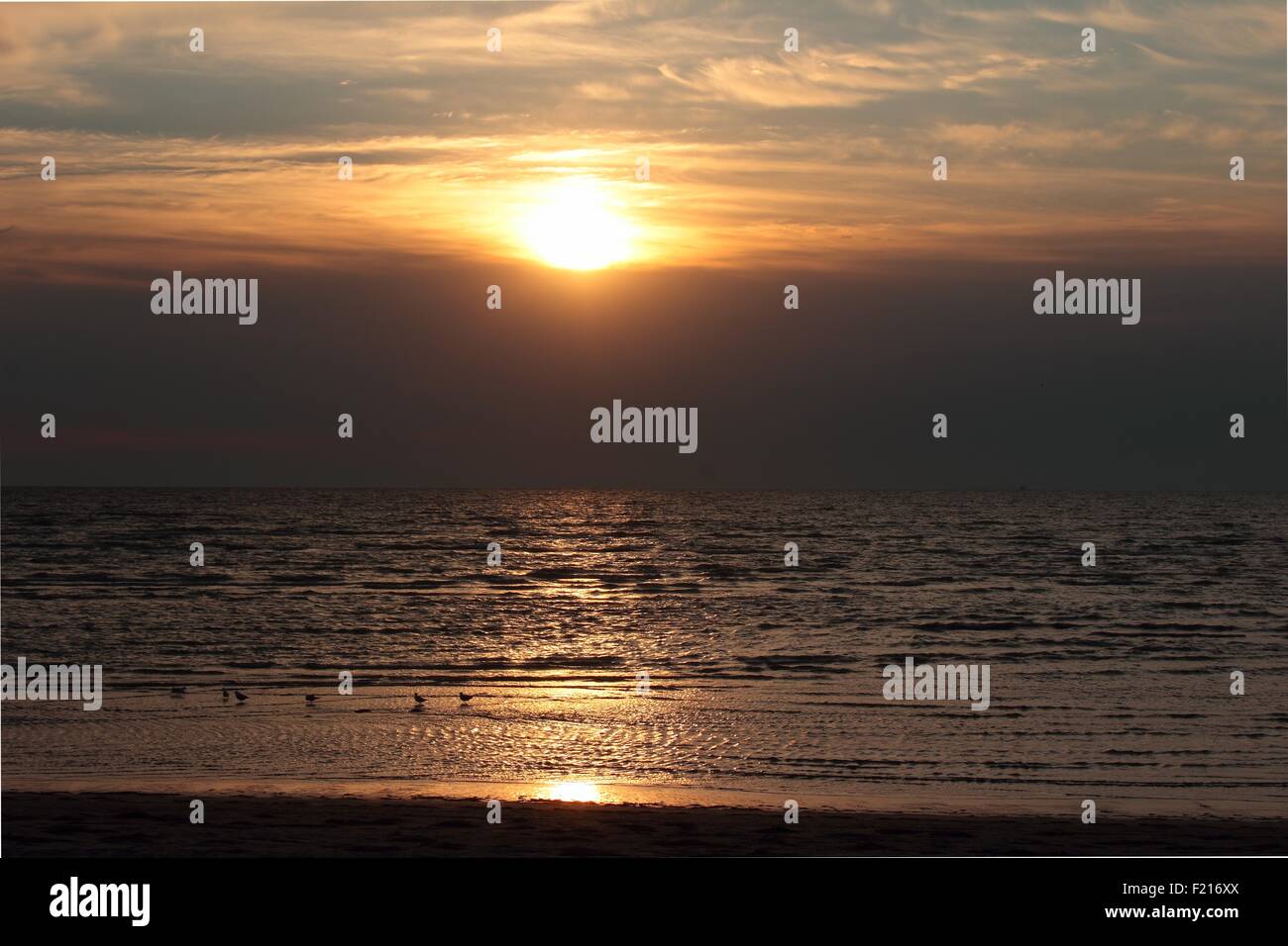 the early morning sun rises over the sea Stock Photo - Alamy