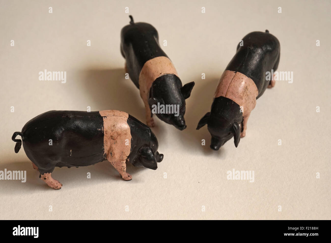 Three plastic toy pigs Stock Photo - Alamy