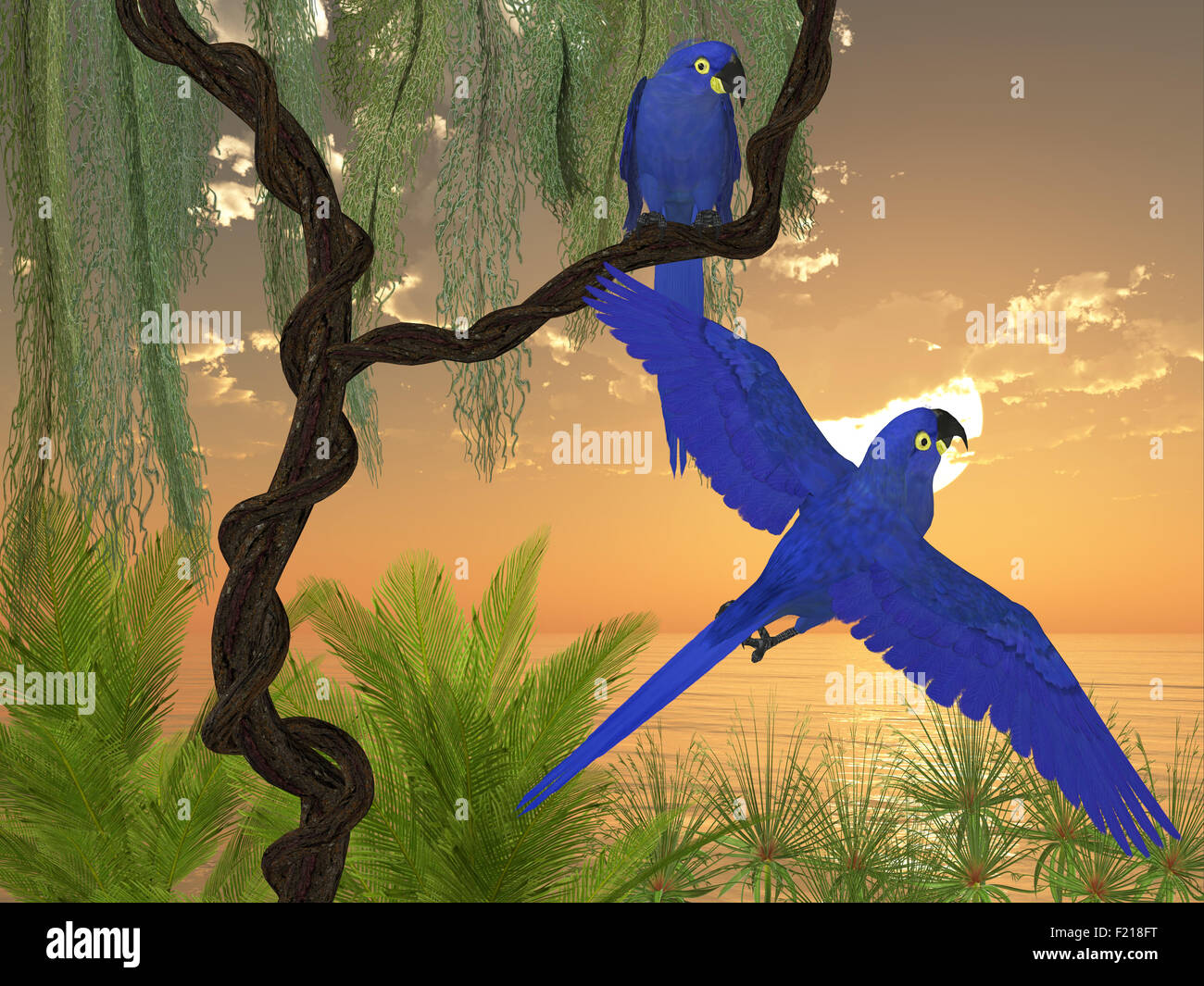 Large parrot species hi-res stock photography and images - Alamy