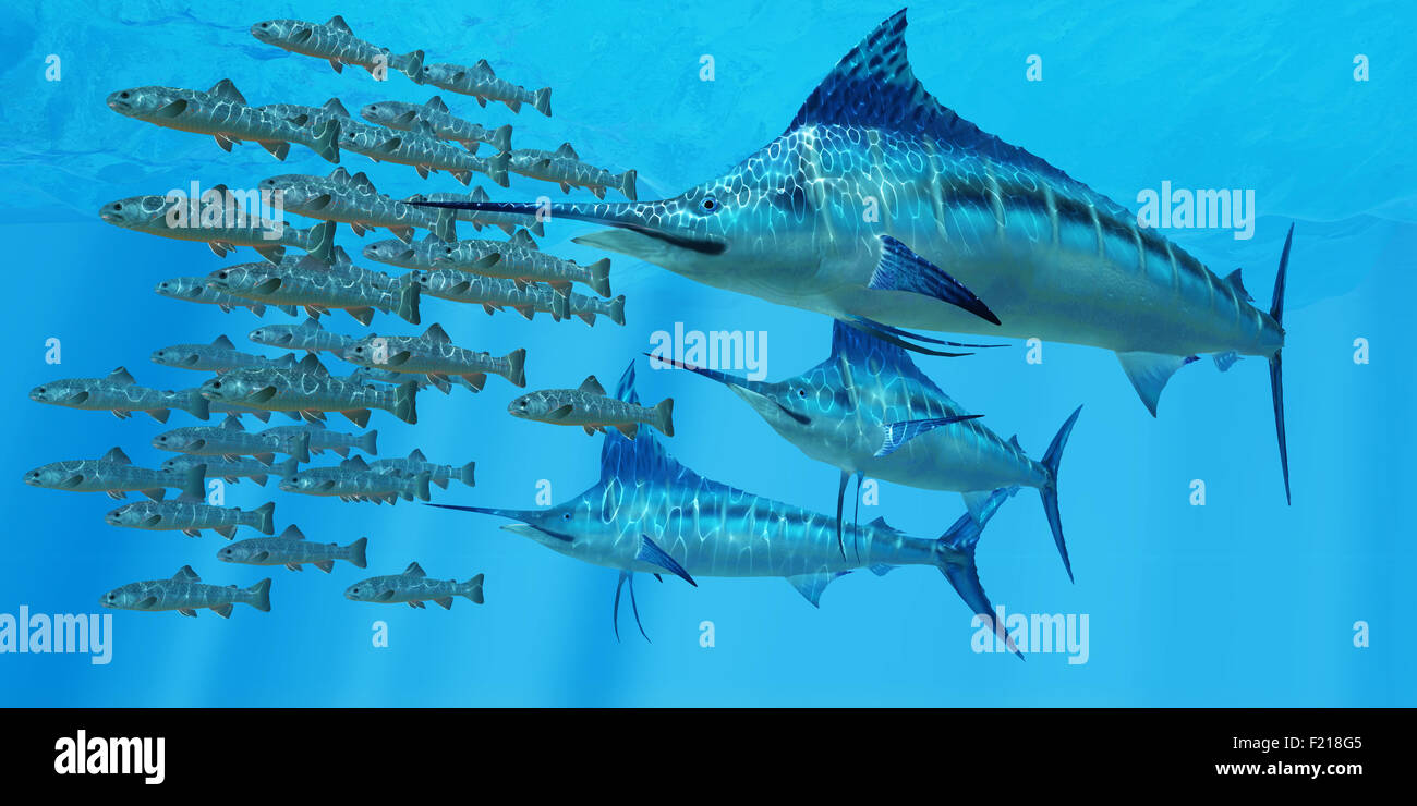 A school of Amemasu fish try to evade three large Marlin predators in ...