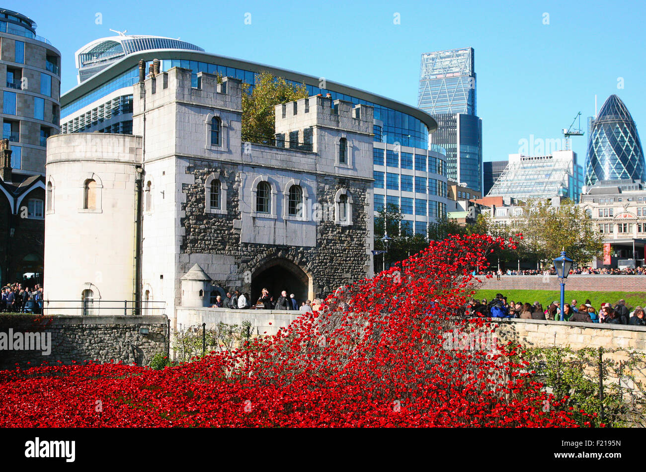 Ceramic Poppy Stock Photos & Ceramic Poppy Stock Images - Alamy