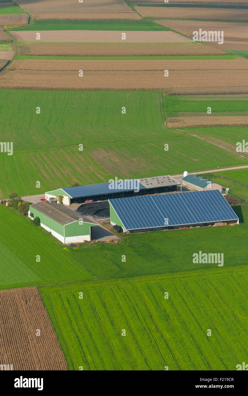 Europe, France, Grand Est, Bas Rhin (67), Minversheim, Farm with ...