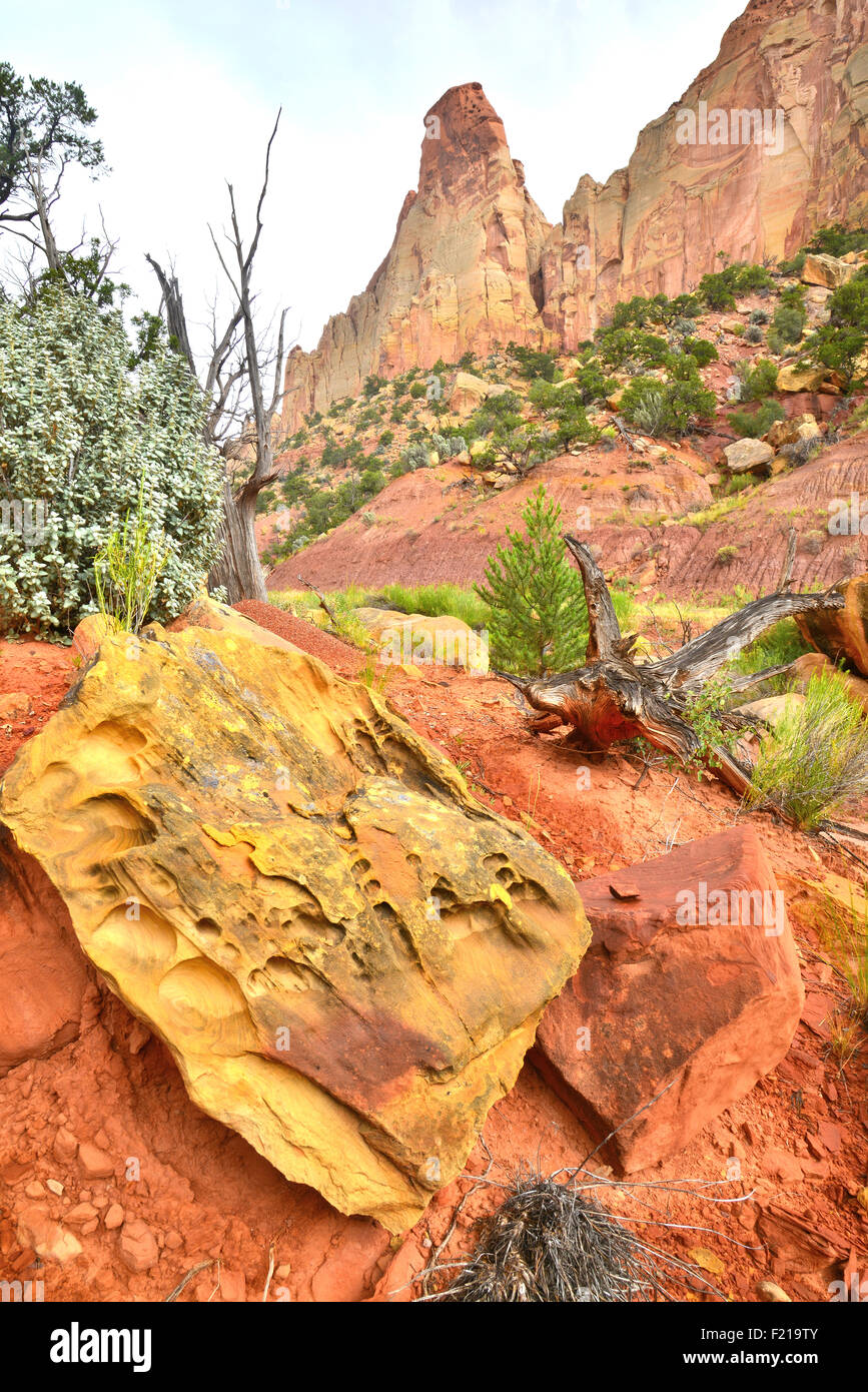 Canyon walls along Burr Trail Road (Boulder-Notom Road) in Grand ...