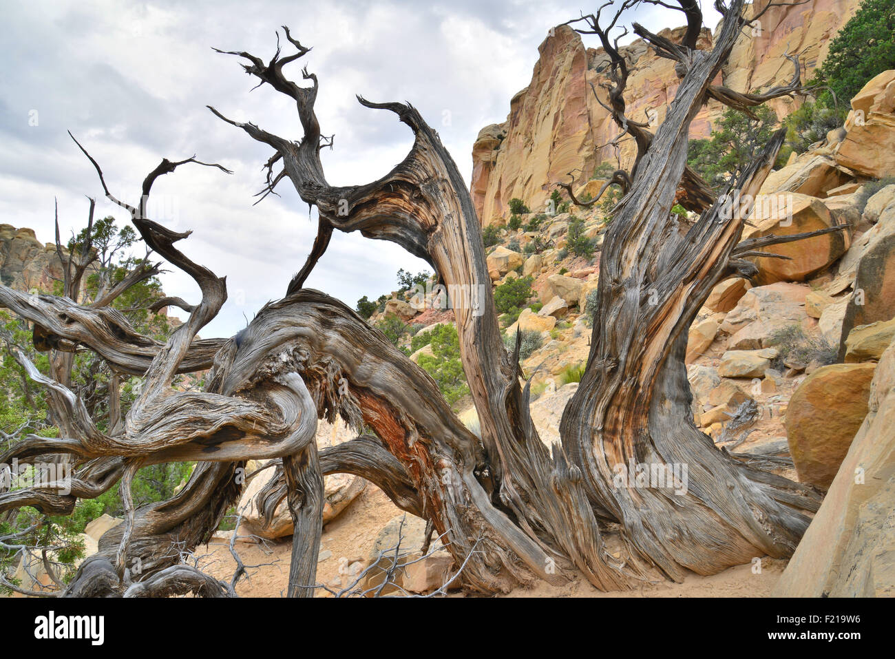 Canyon walls along Burr Trail Road (Boulder-Notom Road) in Grand ...