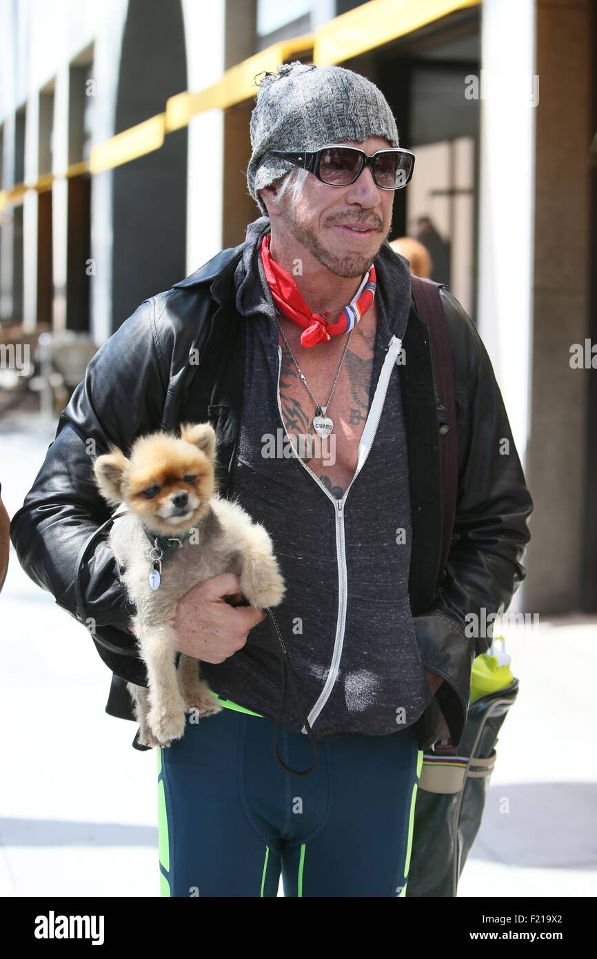 Mickey Rourke Dog High Resolution Stock Photography and Images - Alamy