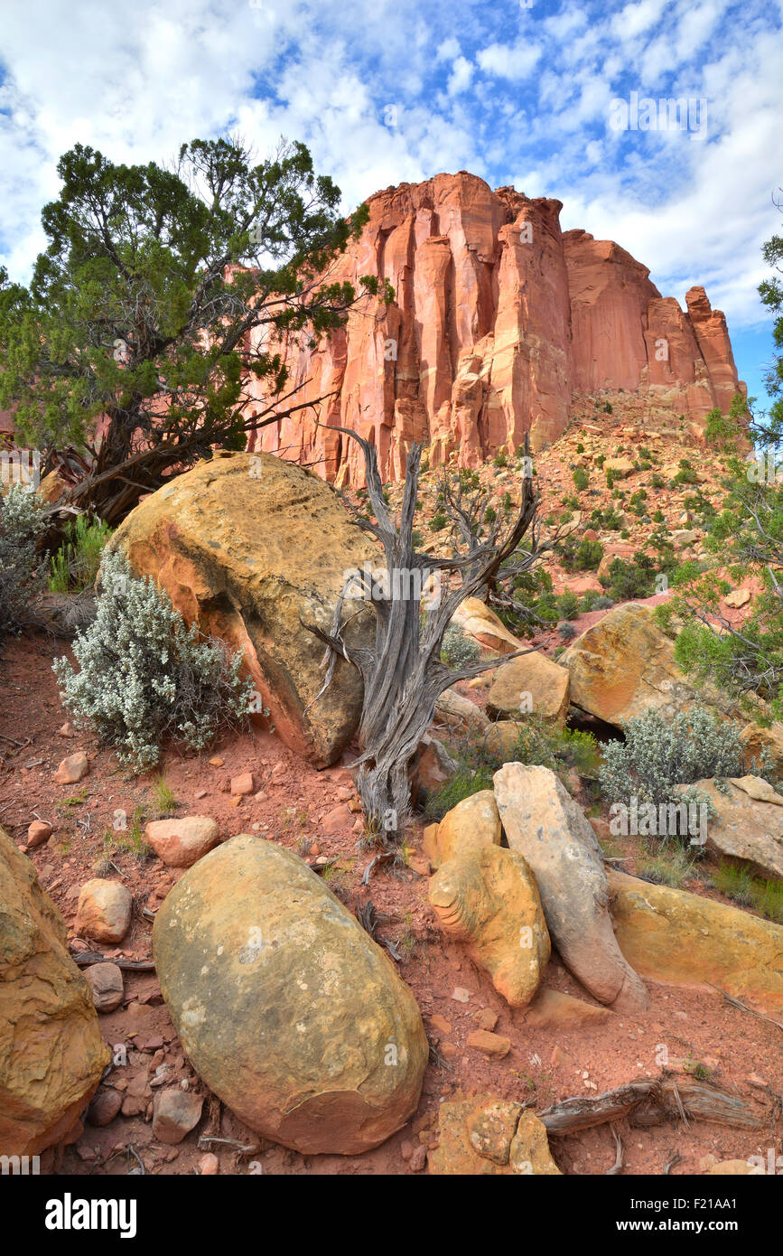 Canyon walls along Burr Trail Road (Boulder Notom Road) in Grand ...