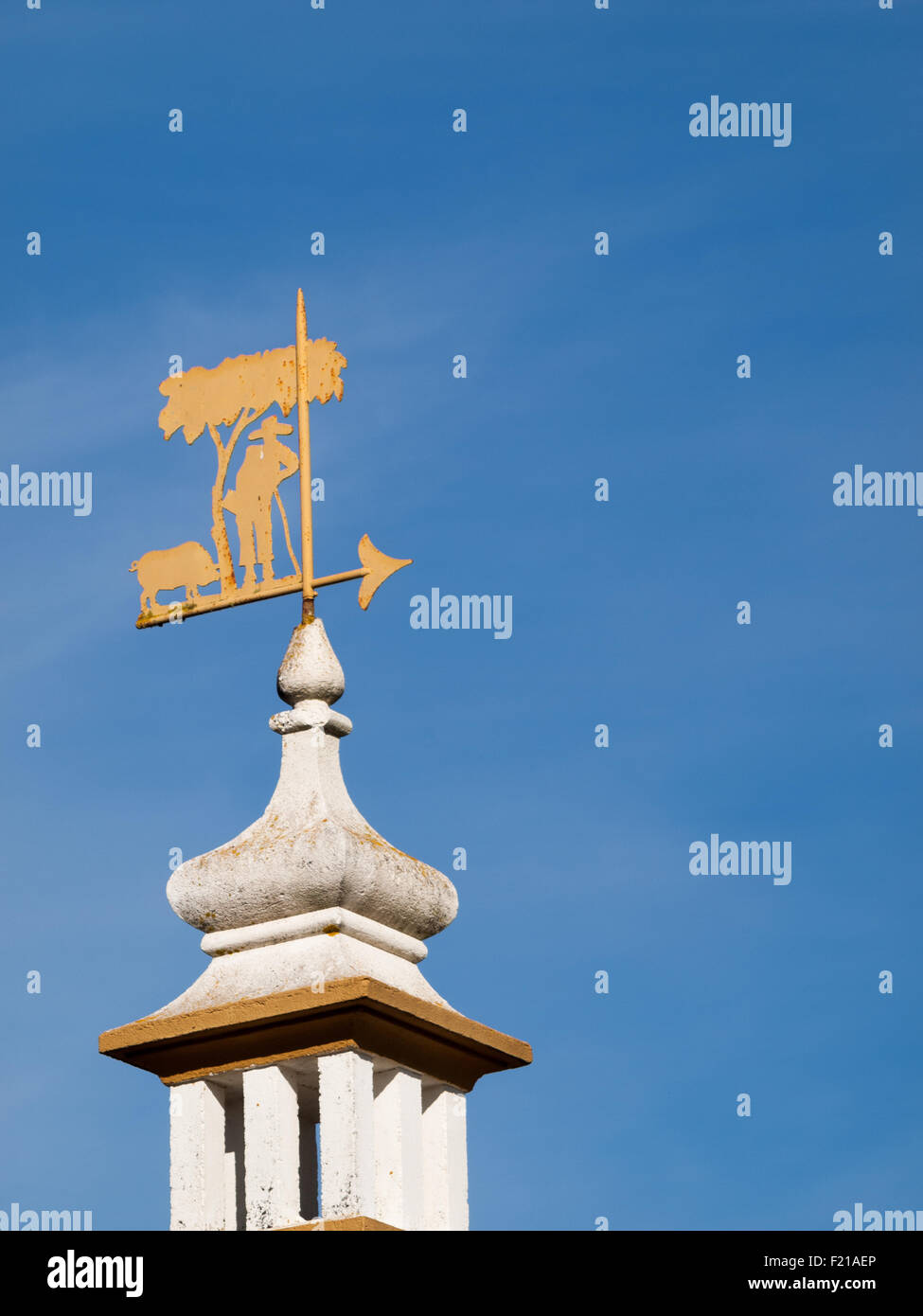 Wind vane shaped as a man and a pig Stock Photo - Alamy