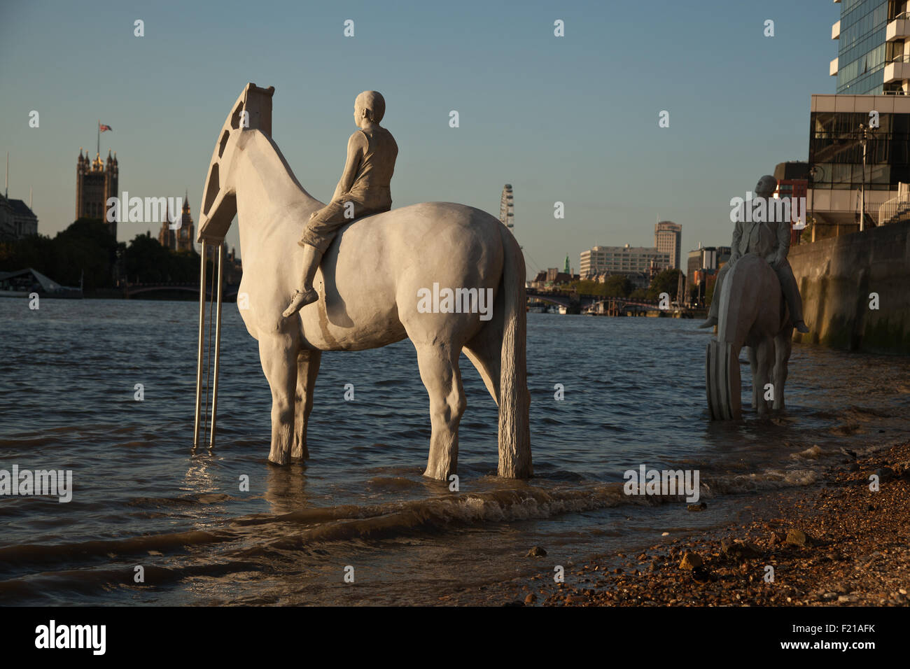 Jason Taylor Horses High Resolution Stock Photography and Images - Alamy