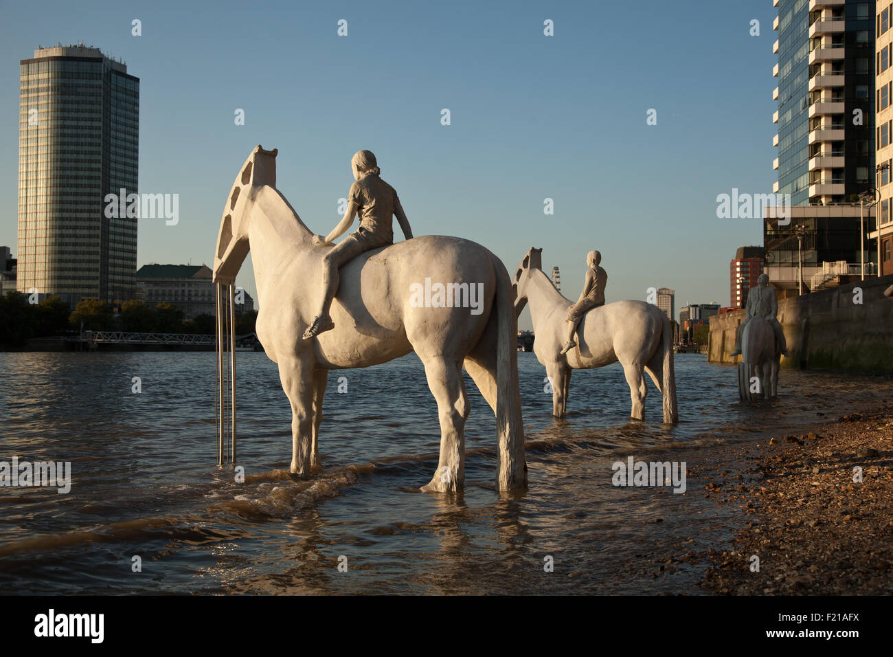 Jason Taylor Horses High Resolution Stock Photography and Images - Alamy
