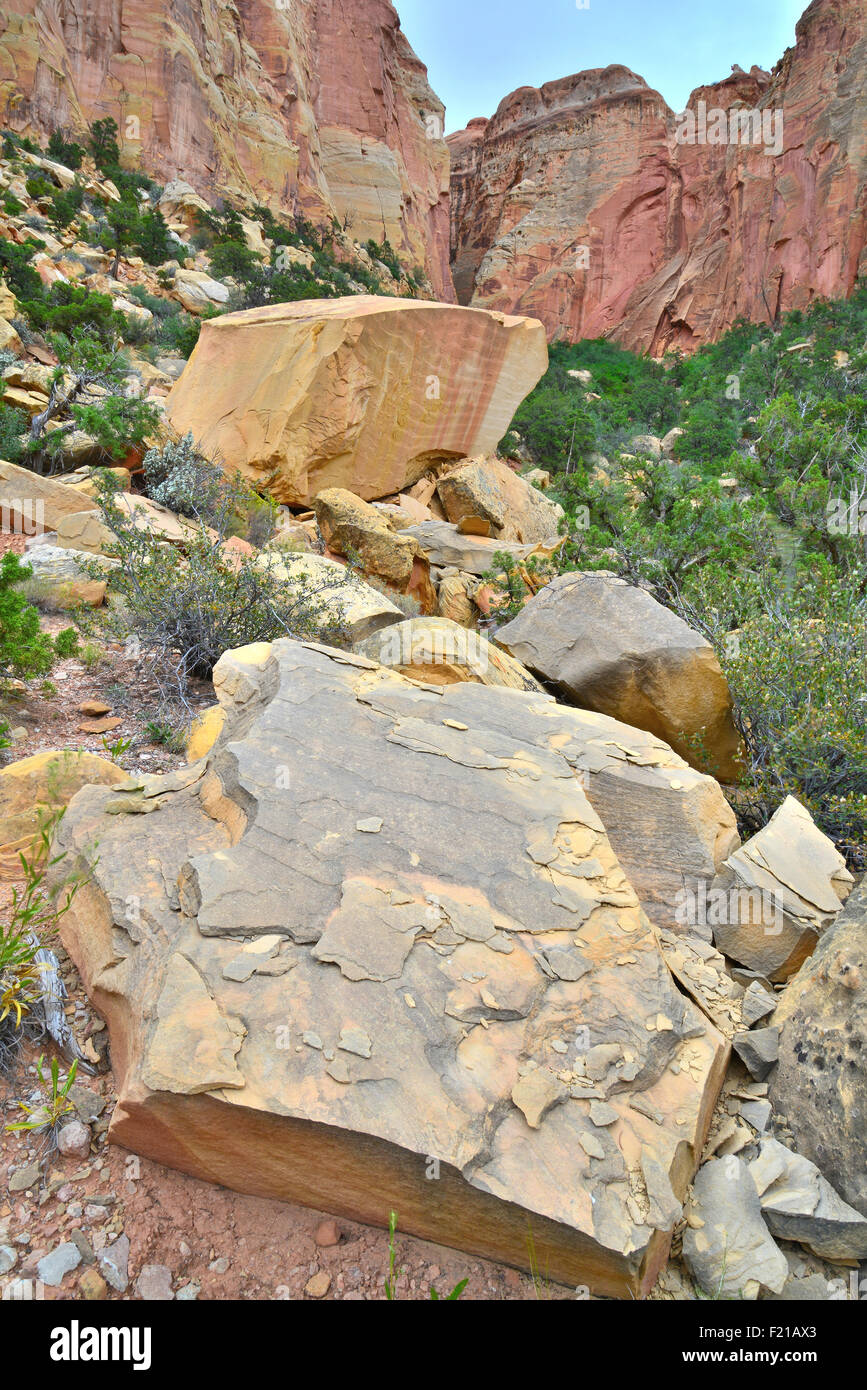 Canyon walls along Burr Trail Road (Boulder-Notom Road) in Grand ...