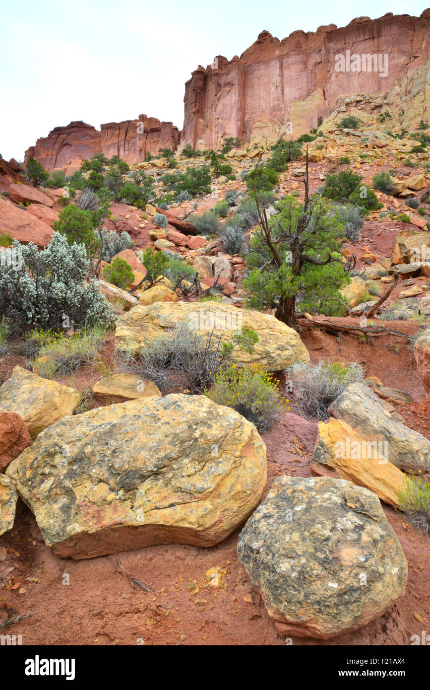 Canyon walls along Burr Trail Road (Boulder-Notom Road) in Grand ...