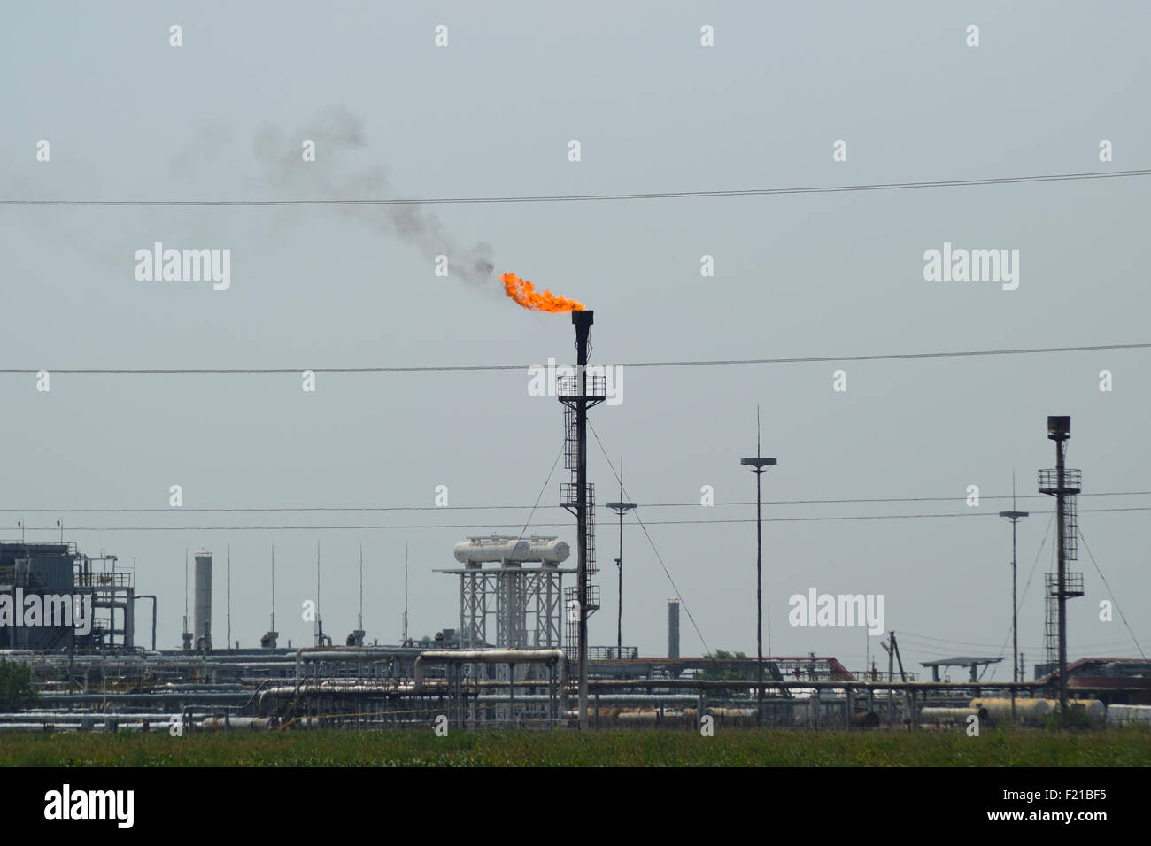 System of a torch on an oil field. Burning through a torch head Stock ...
