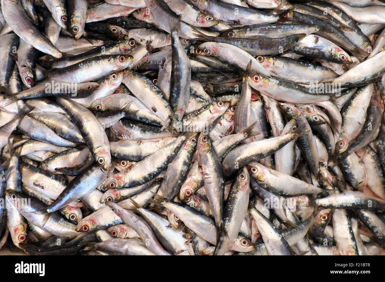 Group of dead fish Stock Photo - Alamy