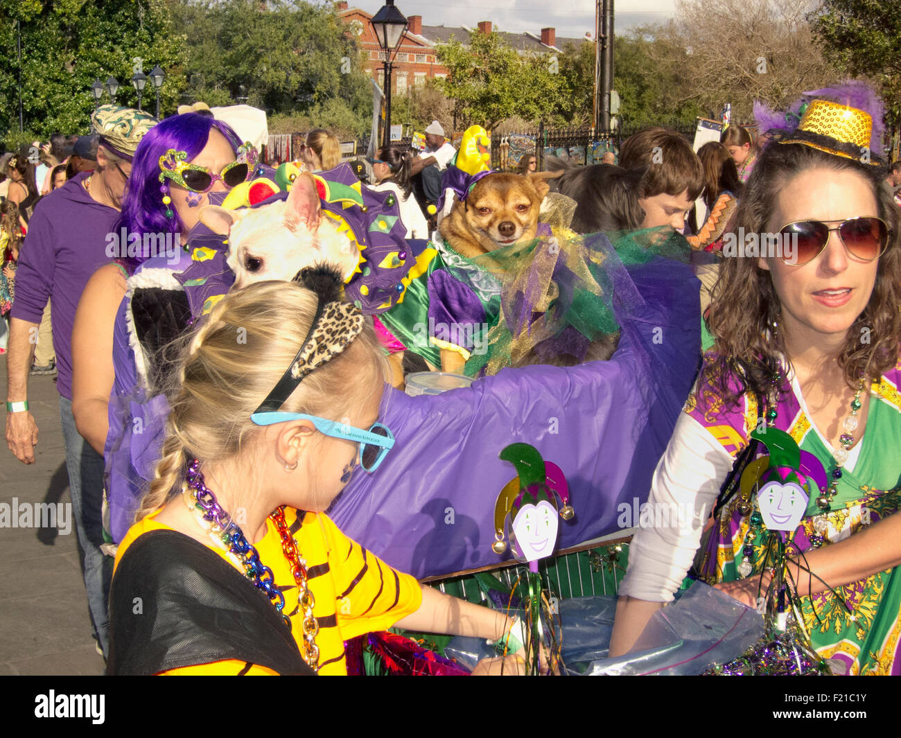 Krewe of Barkus dog parade. New Orleans French Quarter Stock Photo - Alamy