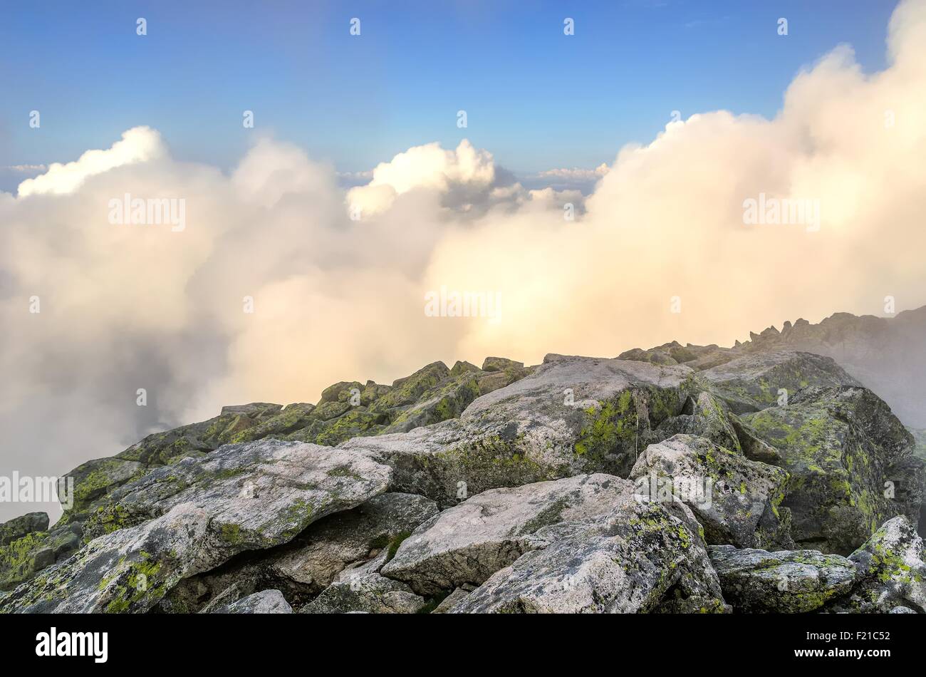 Summer mountain landscape. Picturesque view in High Tatra Mountains in ...