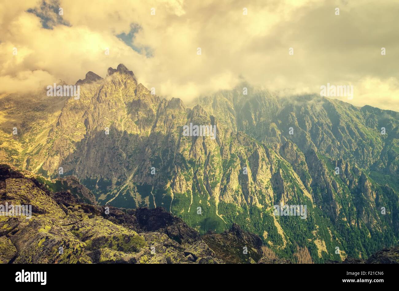Summer mountain landscape. Picturesque view in High Tatra Mountains in ...