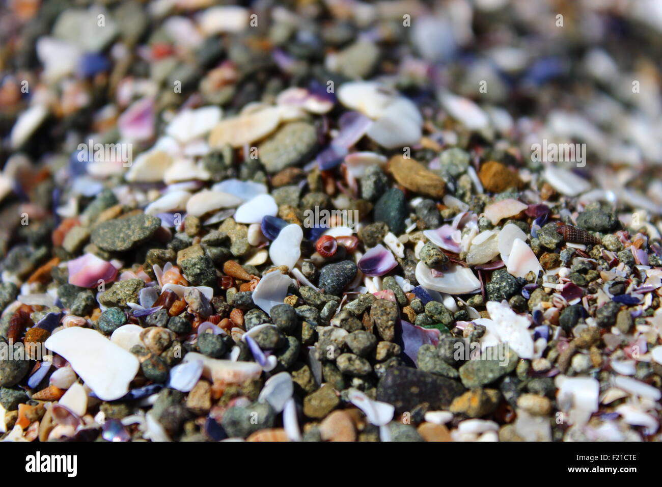 The tiny world of sand grains Stock Photo - Alamy