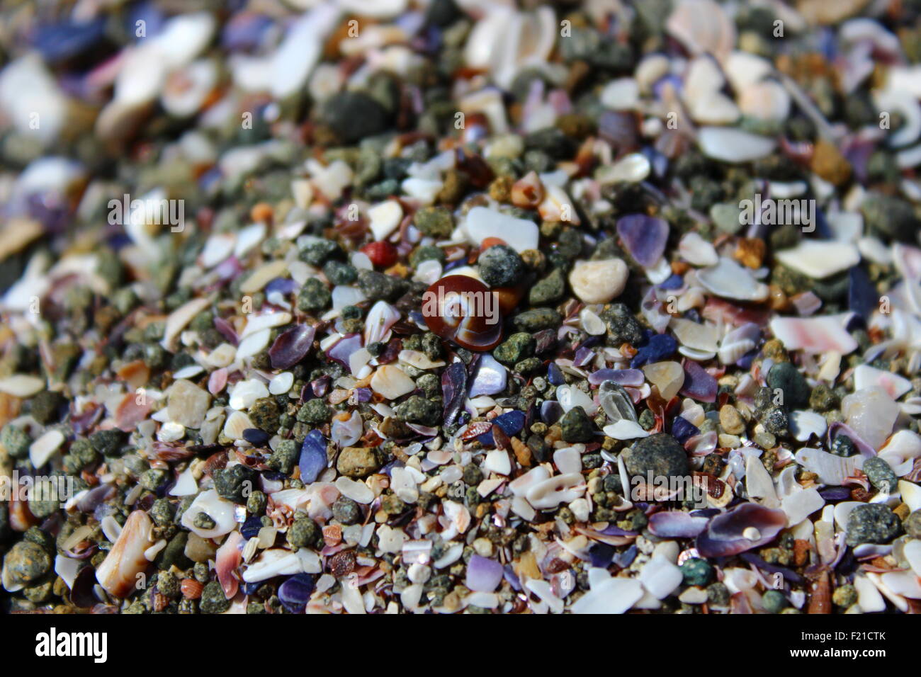 Grain sizes hi-res stock photography and images - Alamy