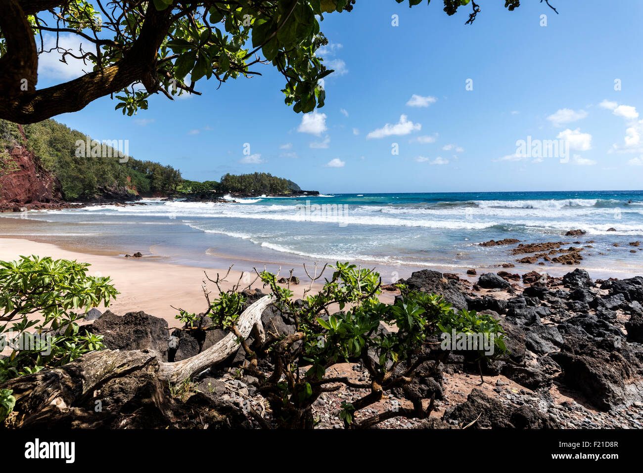 Maui hawaii landscape tropical hi-res stock photography and images - Alamy